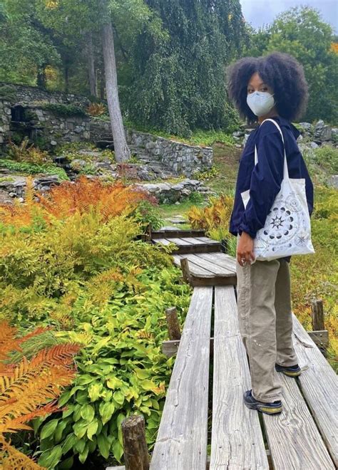 Pin On Pixie Aesthetic 🧚🏾 Pixie Aesthetic Aesthetic Pixie