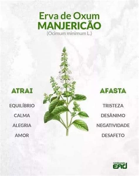 Pin de Renan Oliveira em Orixas Iemanjá umbanda Candomble orixas Orixá