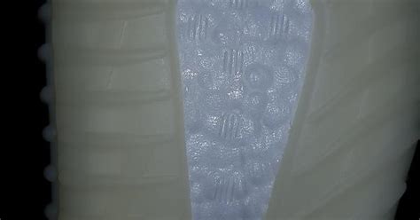 Zebra Boost Album On Imgur
