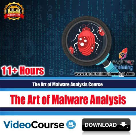 The Art Of Malware Analysis Course Expert Training