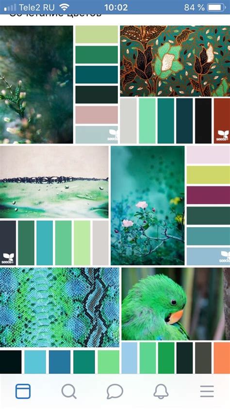 Сочетание цветов Вдохновляющие цвета Иллюстрации арт Пастельные цветовые палитры