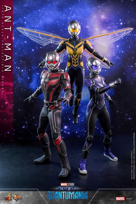 Nouvelle Ant Man And The Wasp Quantumania Explore The Quantum
