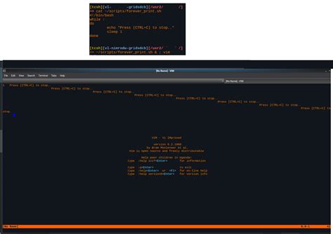 Vim Is Displaying The Underlying Terminal Stdout Rvim
