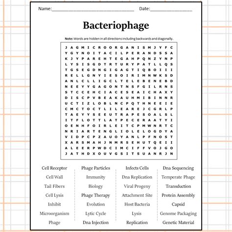 Bacteriophage Word Search Puzzle Worksheet Activity Pdf Printablebazaar