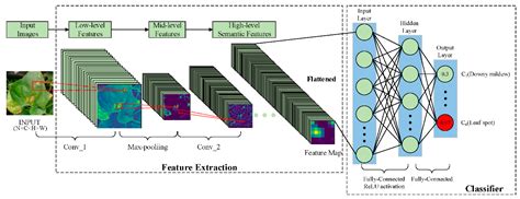 Skin Disease Detection Using Convolutional Deep Learn
