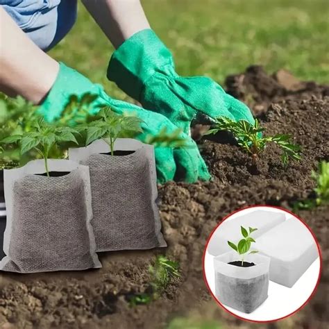 8x10cm 100 Uds Bolsas De Vivero De Semillas Biodegradables Bolsas De