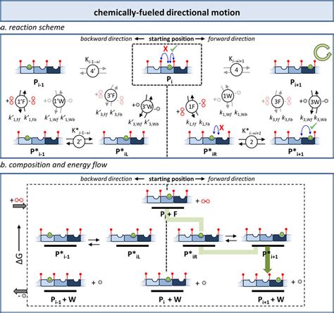 Chemically Fueled Unidirectional Motion A Model Used To Illustrate