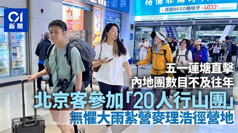 五一蓮塘直擊內地團數不如舊年 行山客無懼大雨今夜紮營麥理浩