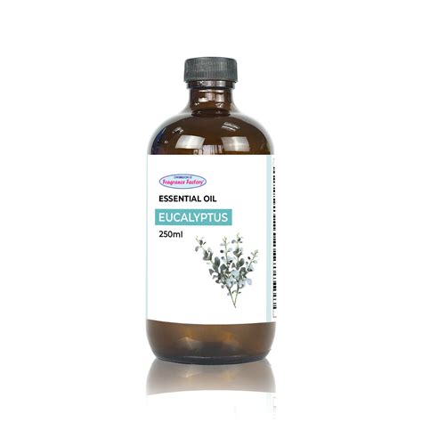 Eucalyptus Essential Oil Chemworld Fragrance Factory