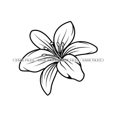 Lily Flower 3 Svg Lily Flower Svg Lily Svg Flower Svg Li Inspire