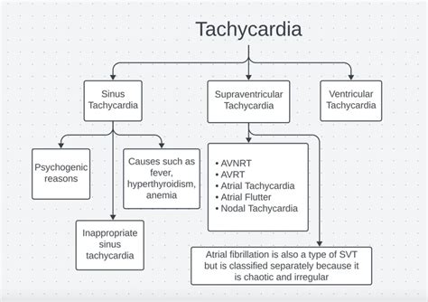 What Is Tachycardia Symptoms Causes Treatment
