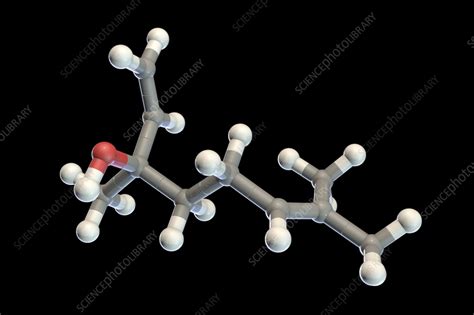 Linalool Molecule Illustration Stock Image F036 6021 Science Photo Library