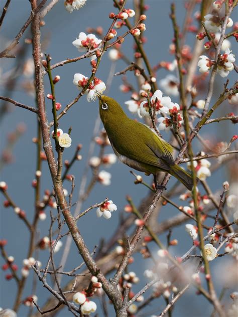 By Anshin Id Photohito