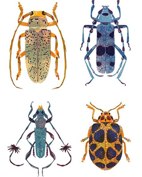 Four Different Types Of Bugs Artwork