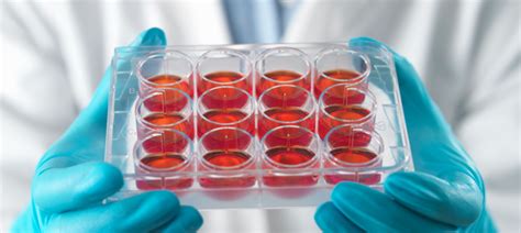 Crispr And Gene Editing Technologies Affigen