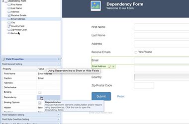 Hide And Show Fields On Demand Logiforms Help Center