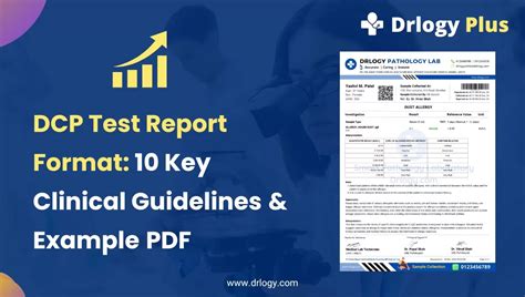 DCP Test Report Format 10 Key Clinical Guidelines Sample PDF Example