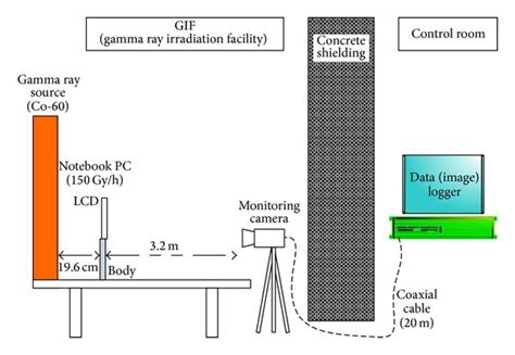 Schematic Diagram For Gamma Ray Irradiation Test Of The Notebook Pc