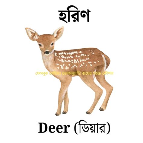 Elevation English Added A New Photo Elevation English