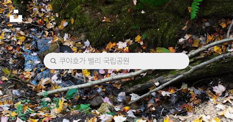쿠야호가 밸리 국립공원 사진 Unsplash에서 무료 이미지 다운로드