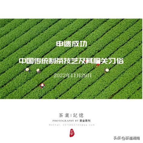 湖南有3項：「中國傳統制茶技藝及其相關習俗」申遺成功 每日頭條