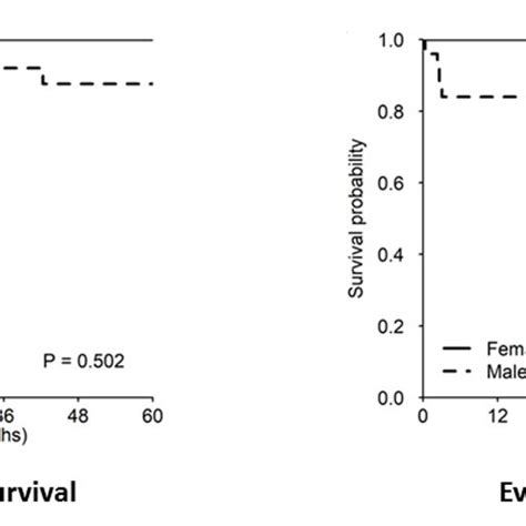 The 5 Year Os And Efs Rates In B Lbl Histology Vs Other Histology