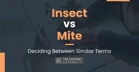 Insects Vs Mites At Robert Keck Blog