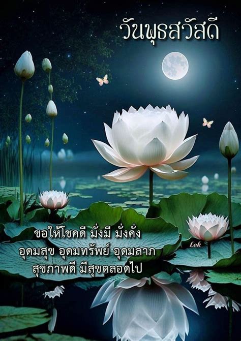 วันพุธสวัสดี อรุณสวัสดิ์ ฝันดีราตรีสวัสดิ์ ภาพนิ่ง