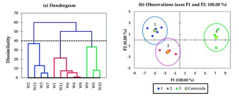 A Dendrogram Showing Spatial Similarities Of Groundwater Sampling