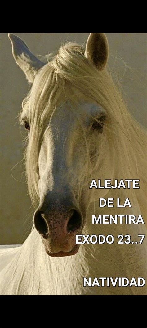 Pin de Rosa Isela en Oracion Biblia Frases en español Frases