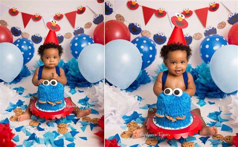 Cookie Monster Cake Smash Artofit