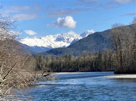 Day Trippin Visiting The Skagit River Bald Eagle Interpretive Center
