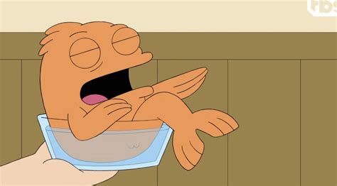 American Dad Klaus Quotes American Dad Klaus Heisler “ You Proud