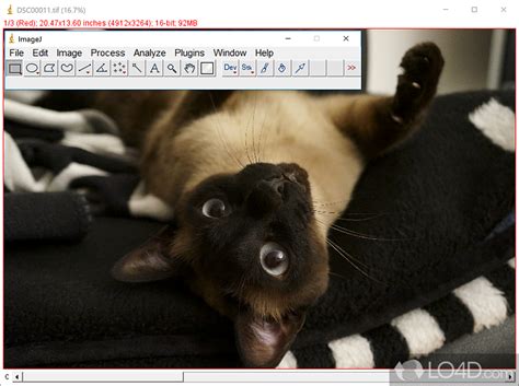 imagej screenshots