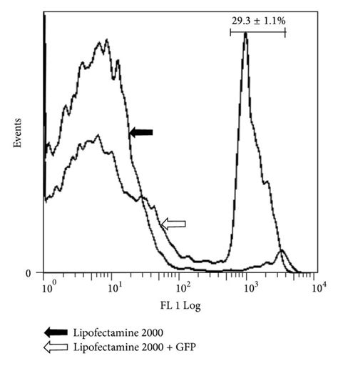 Flow Cytometry Quantitation Of Gfp Positive Cells Demonstrates That