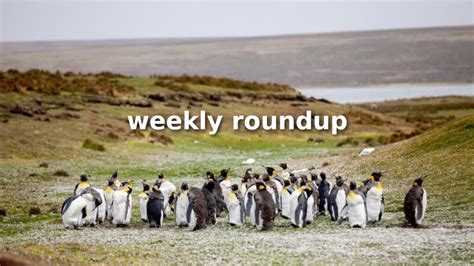 Linux Weekly Roundup Wine Fedora I Spin And More