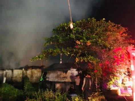 မြောက်ဒဂုံမြို့နယ်ရှိ ခွေးနှင့်‌ကြောင်များ စောင့်ရှောက်ရေးဂေဟာတစ်ခုတွင