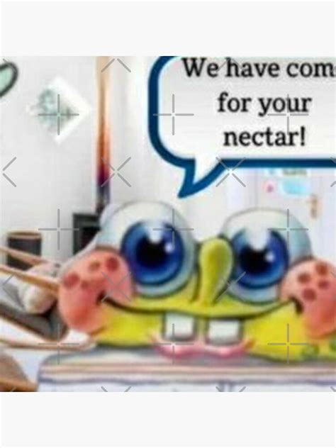Squidward We Have Come For Your Nectar Spongebob Meme Art Print For