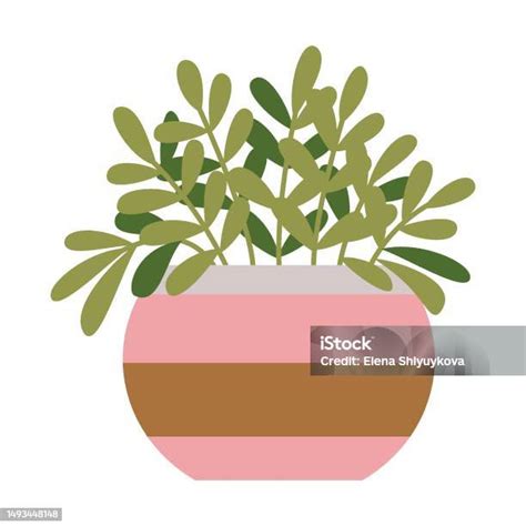 화분에 심은 집 식물 만화 스타일 트렌디한 현대 벡터 일러스트레이션은 흰색 배경 손으로 그린 평면 디자인에 분리되어 있다 0명에 대한 스톡 벡터 아트 및 기타 이미지