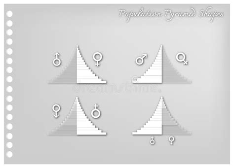Detail Of Population Pyramids Graphs Depend On Age And Sex Stock Vector Illustration Of