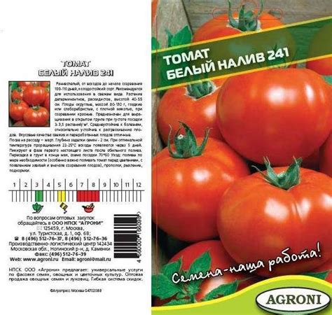 Томат Белый налив характеристики и описание сорта Томат Белый налив