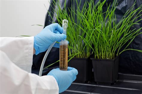 Sensitines Une Solution Efficiente Pour Solar Impulse