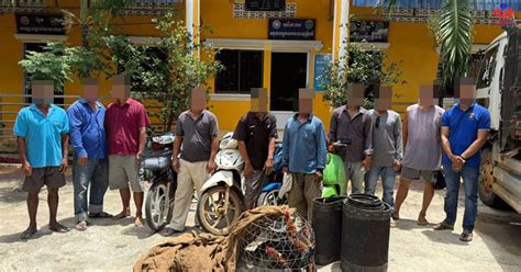 នគរបាលស្រុកថ្មគោលនាំខ្លួនអ្នកលេងល្បែងស៊ីសងខុសច្បាប់ចំនួន១០នាក់