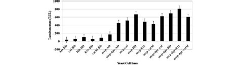 Measure b galactosidase activity of transformed yeast Beta Glo Ò Download Scientific Diagram