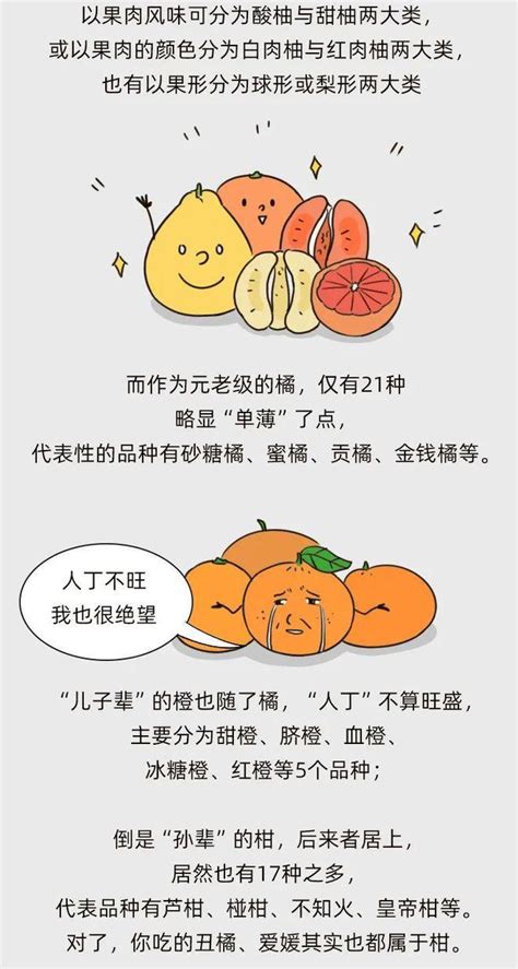 盘点柑橘一家的“乱伦史”，比琼瑶剧还理还乱的爱恨情仇 知乎