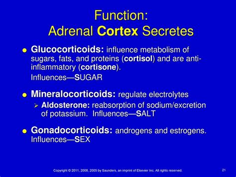 Chapter 18 Endocrine System Ppt Download