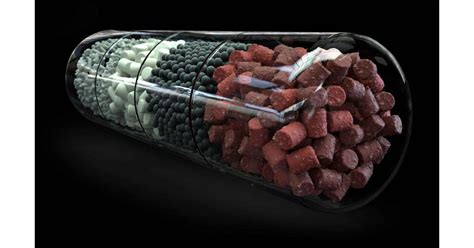 Molecular Sieve Catalyst Market In Depth Industry Coverage By Product Application And End User