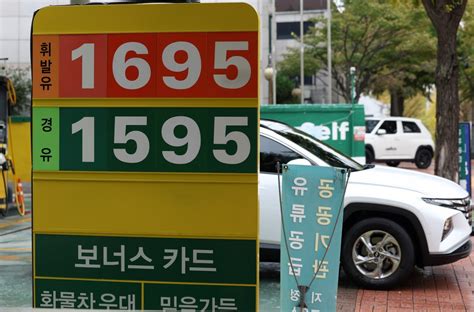 Github Sejinnnngappy