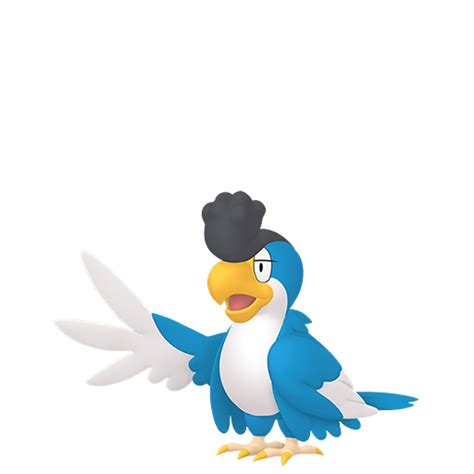 Squawkabilly Dittobase