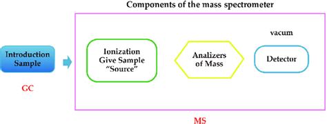 An Illustrative Figure For Mass Spectrometer Components Source Own